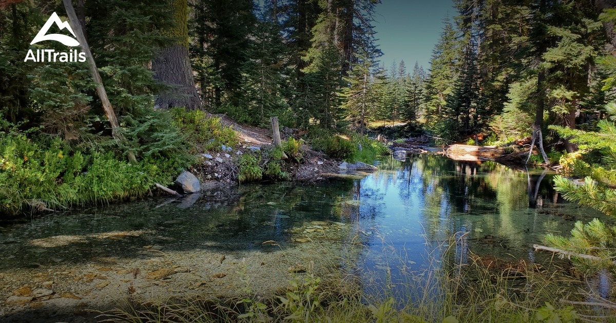 10 Best forest trails in Forks of Salmon | AllTrails