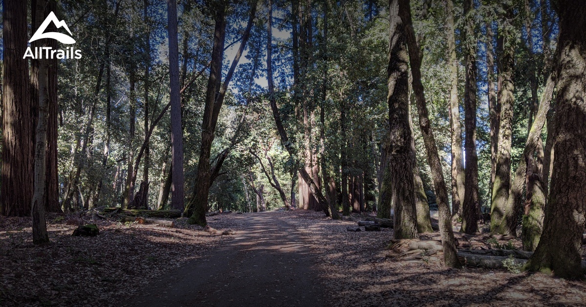 Best forest trails in Freedom | AllTrails