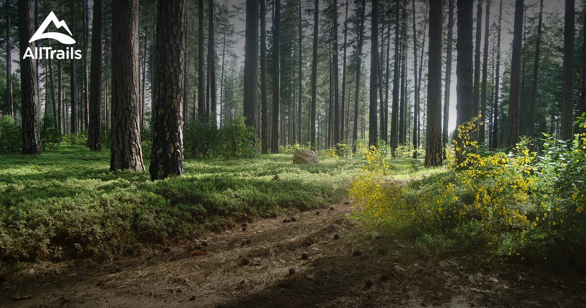 I migliori sentieri di trail running in Georgetown | AllTrails