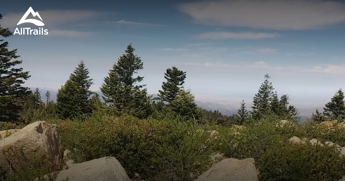 Best hikes and trails in Glennville | AllTrails