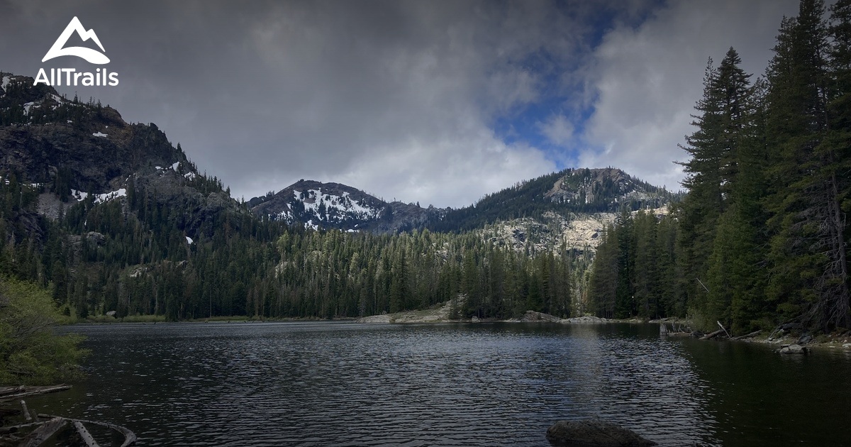 Best forest trails in Greenview | AllTrails