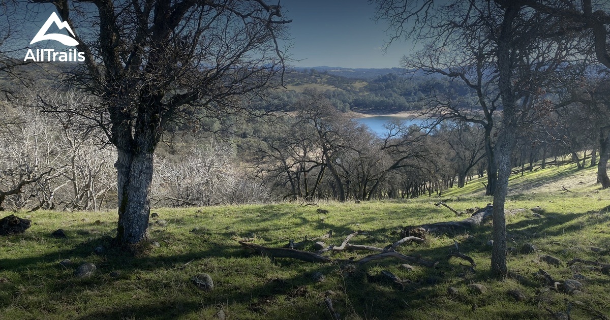 Best hikes and trails in Ione | AllTrails