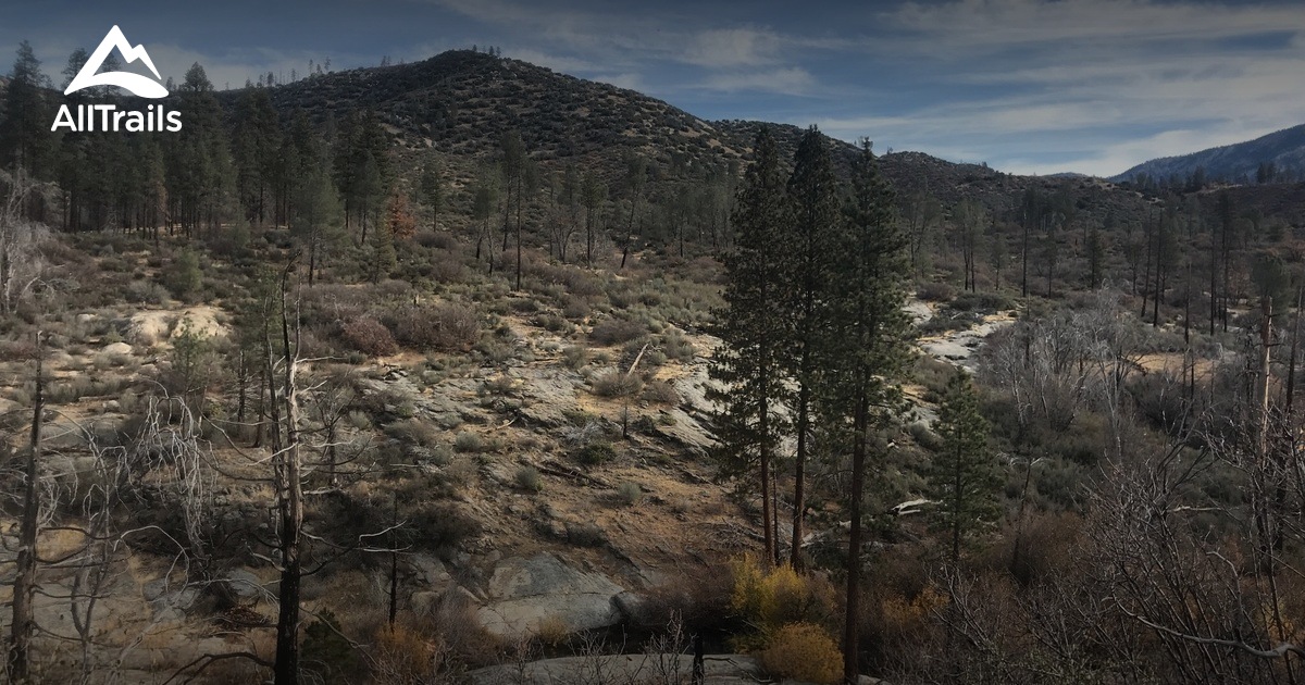 Best fishing trails in Johnsondale | AllTrails