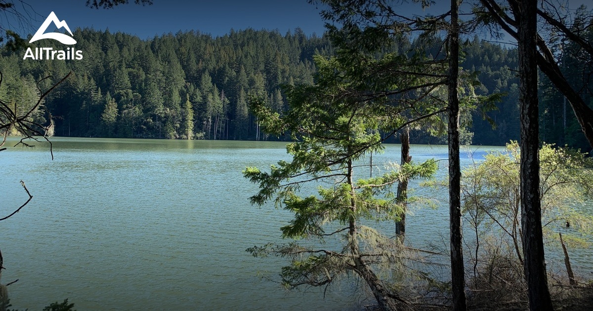Best Trails near Lagunitas, California | AllTrails