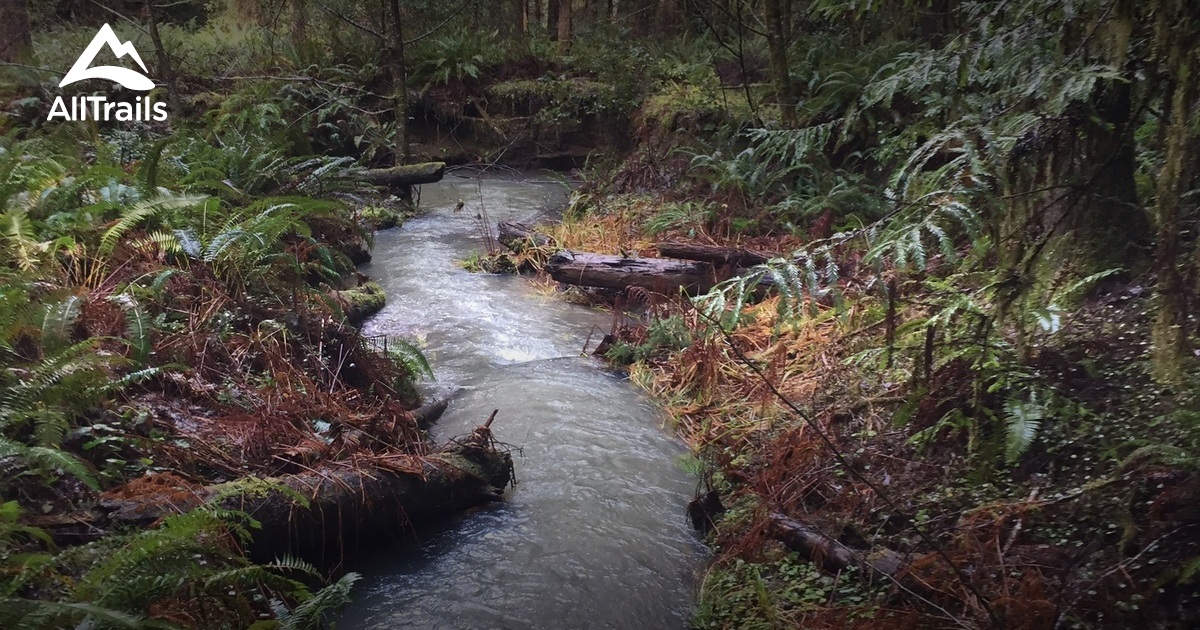 Best hikes and trails in Little River | AllTrails