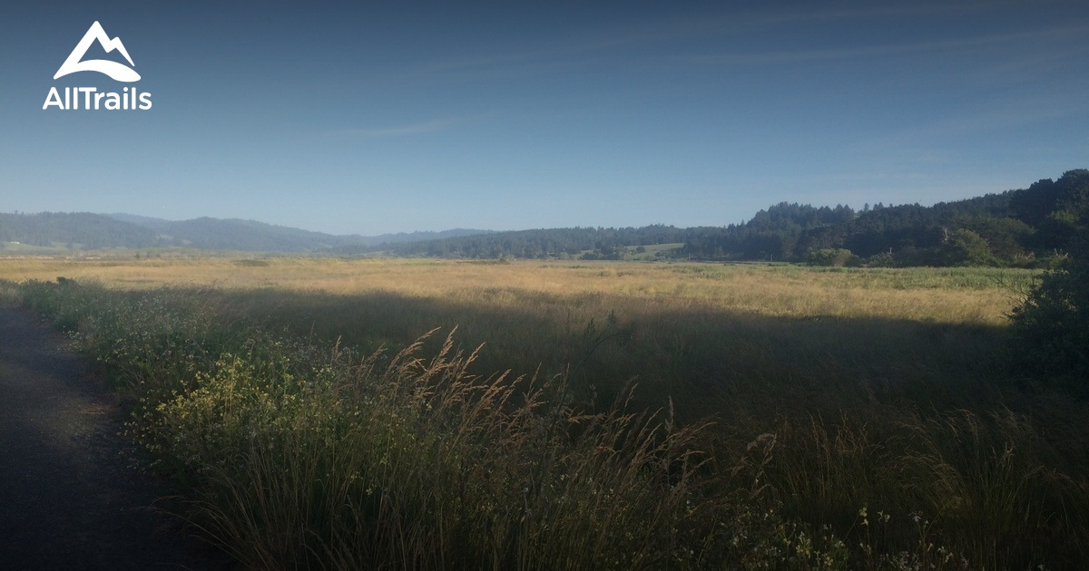 Best Trails near Loleta, California | AllTrails