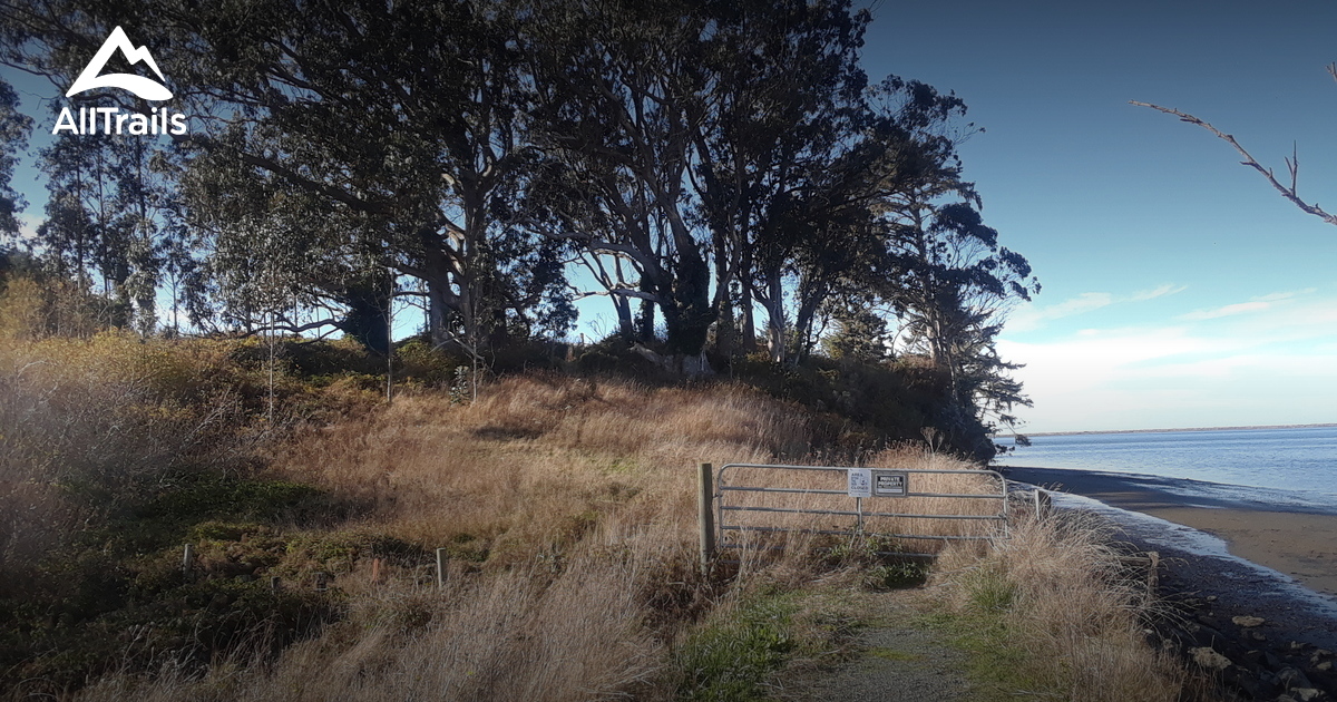 Best Trails near Loleta, California | AllTrails