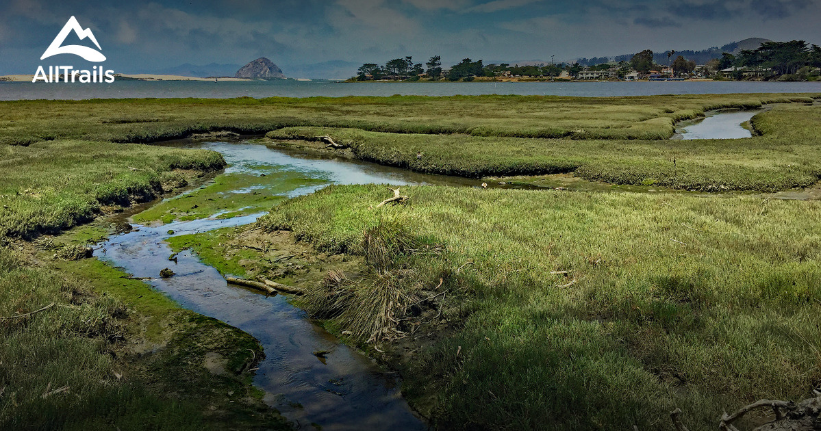 Best Trails near Los Osos, California | AllTrails