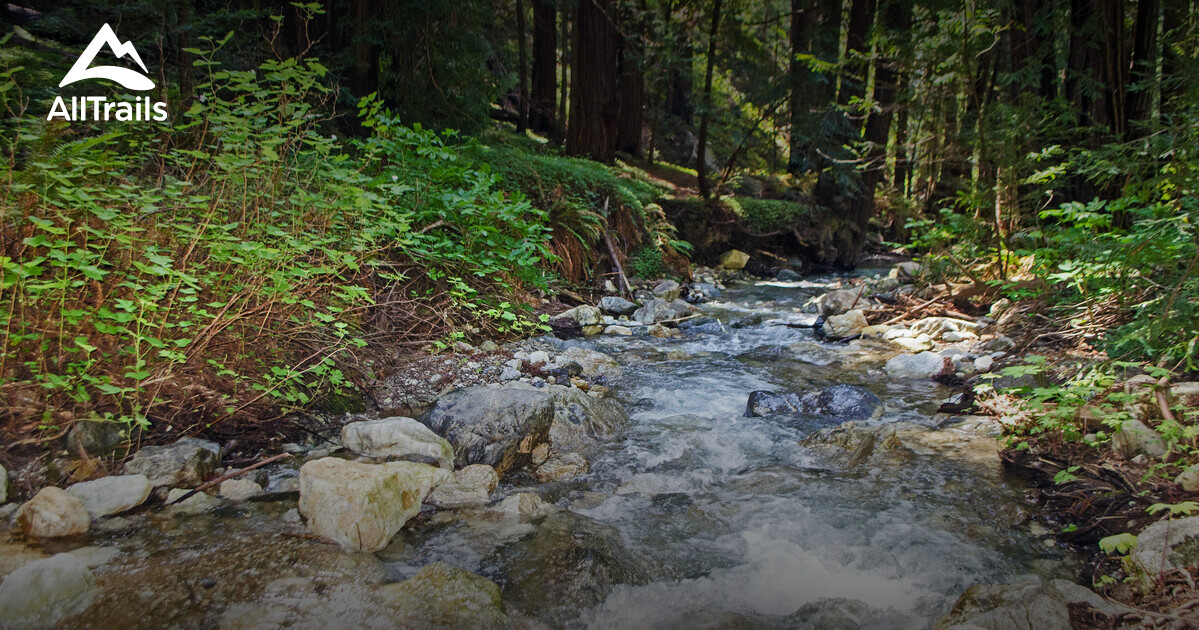 Best beach trails in Lucia | AllTrails