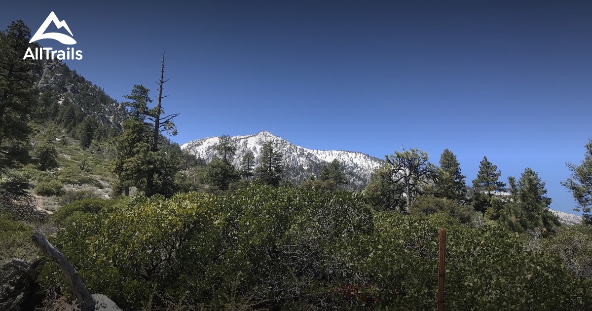 Best Trails near Markleeville, California | AllTrails