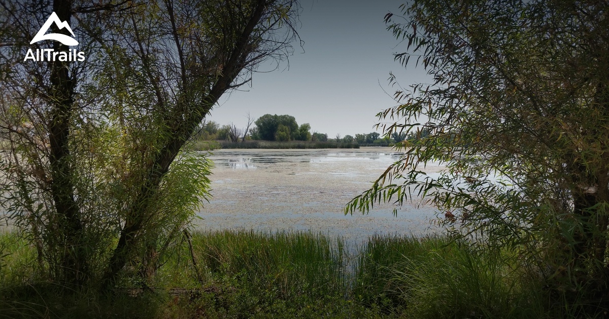 Best hikes and trails in Mather | AllTrails