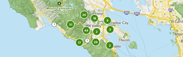 Best 10 Trails and Hikes in Mill Valley | AllTrails