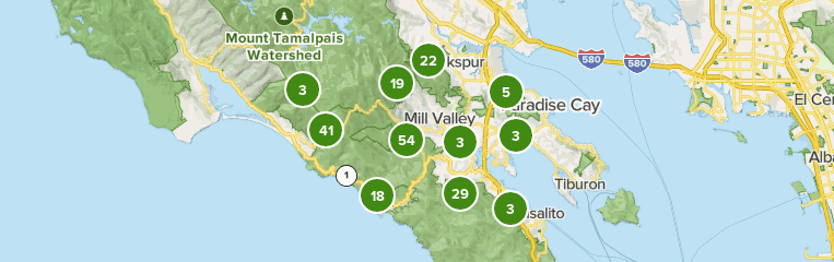 Best Trails in Mill Valley | AllTrails