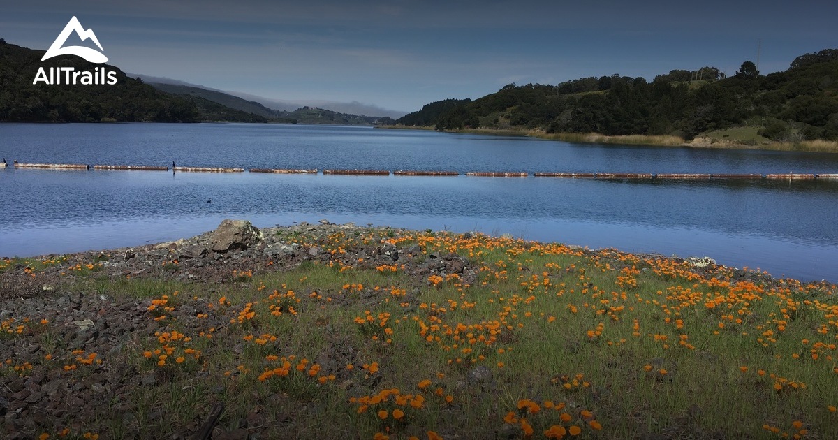 Best Trails near Millbrae, California | AllTrails