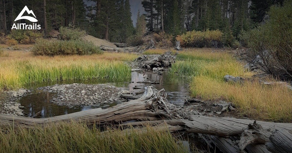 Best hikes and trails in Mono City | AllTrails