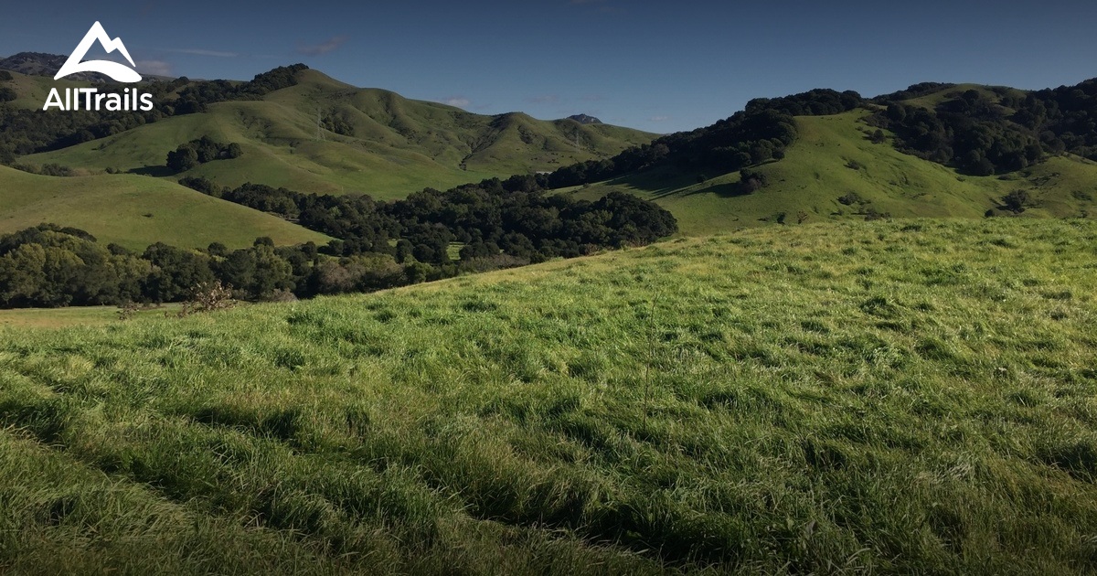 10 Best trails and hikes in Moraga | AllTrails