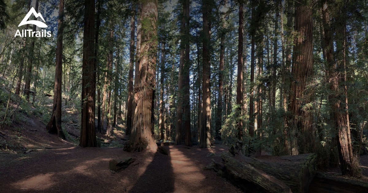 Best hikes and trails in Navarro | AllTrails