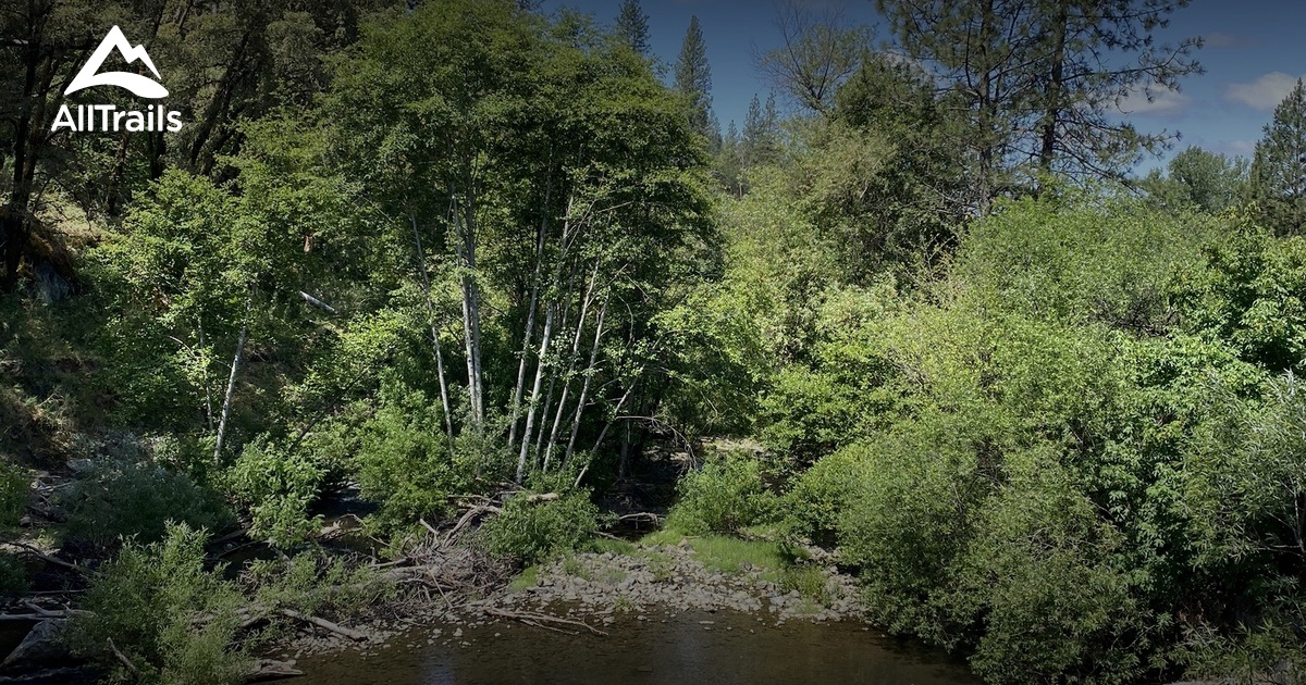 10 Best trails and hikes in Nevada City | AllTrails