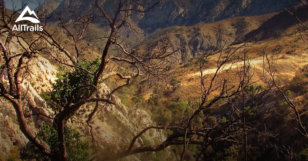 Best Trails near New Cuyama, California | AllTrails.com