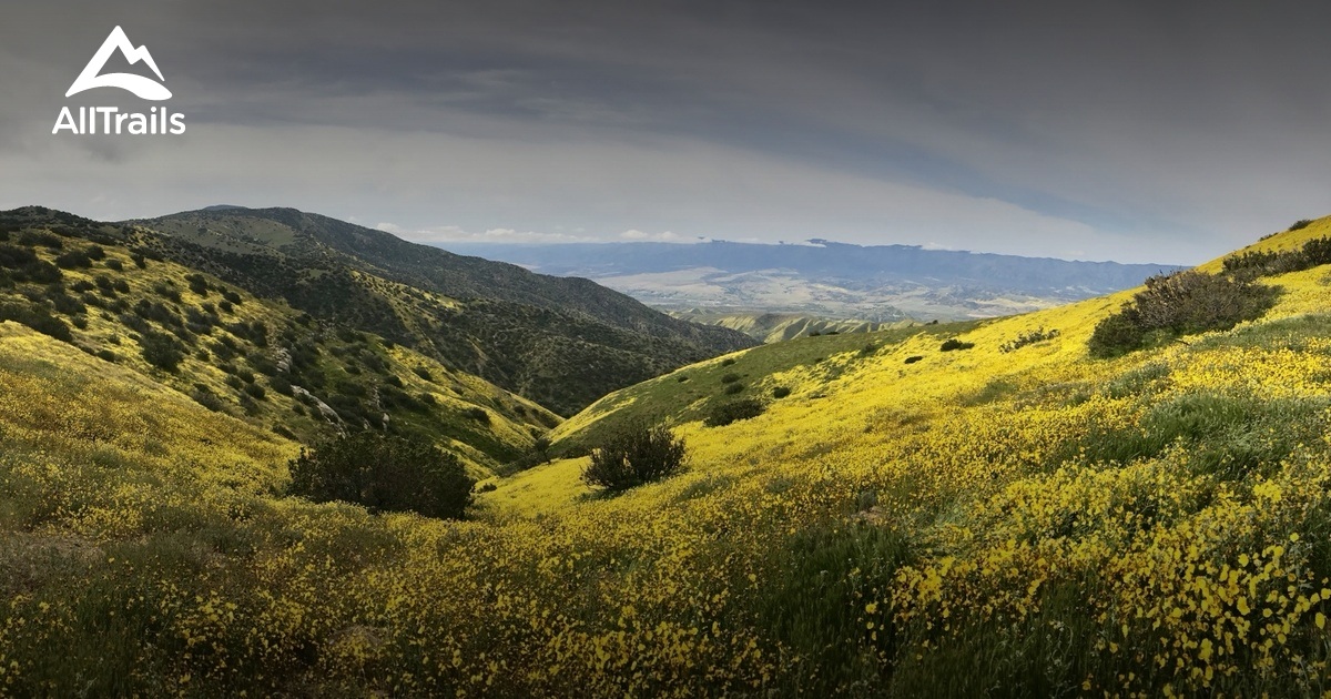 Best hikes and trails in New Cuyama | AllTrails