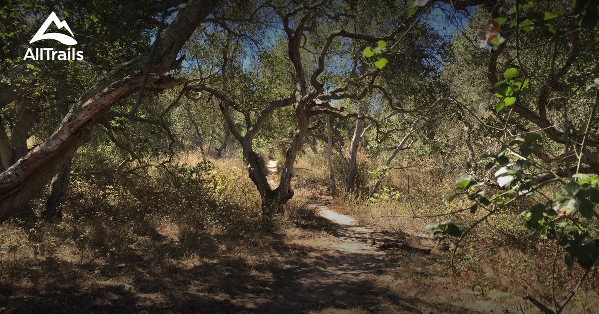 Best hikes and trails in Nipomo | AllTrails