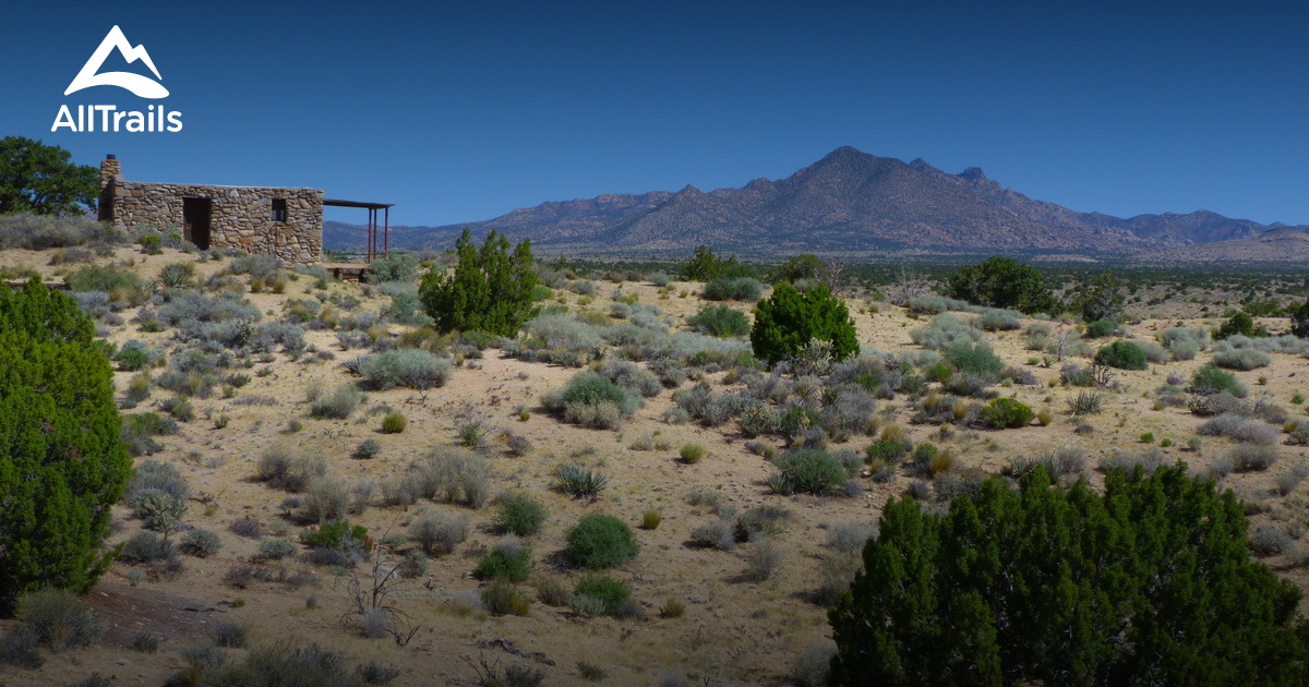 Best hikes and trails in Nipton | AllTrails