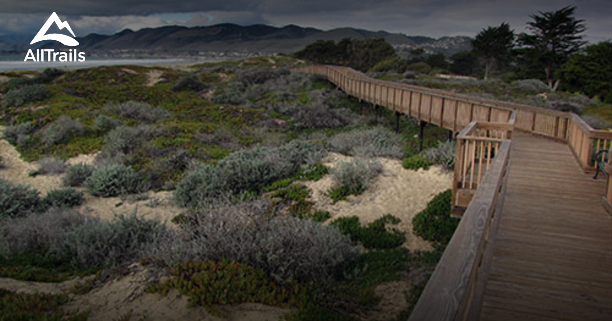 Best Trails near Oceano, California | AllTrails