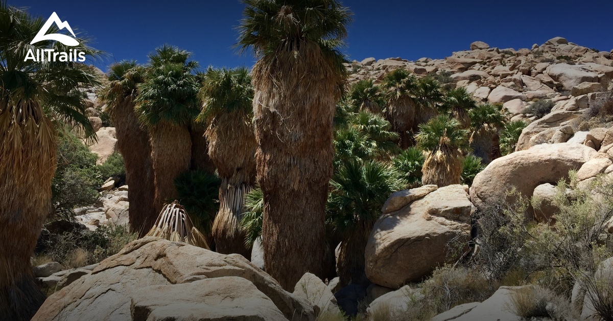 Best Trails near Ocotillo, California | AllTrails