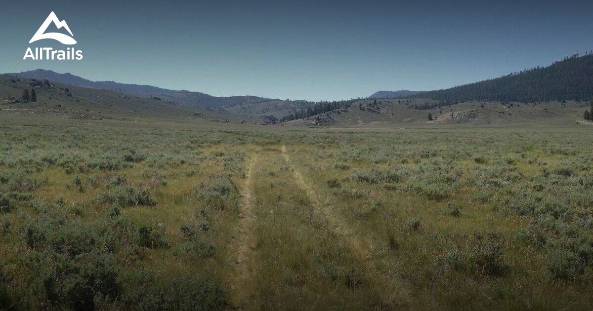 Best trail running trails in Olancha | AllTrails