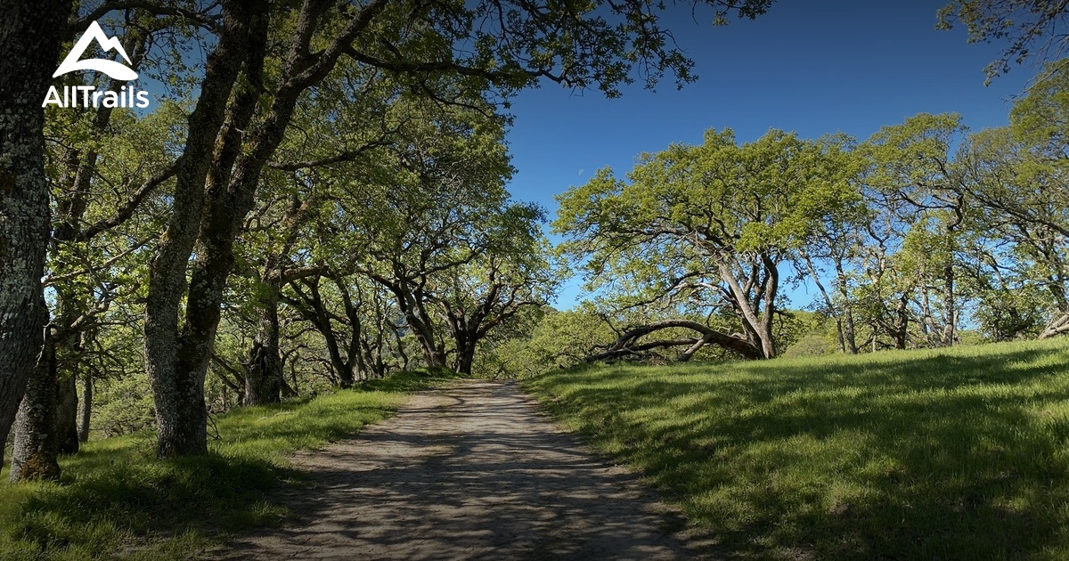 Best hikes and trails in Pacheco | AllTrails