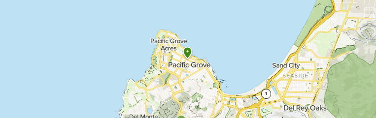 Best Hikes and Trails in Pacific Grove | AllTrails