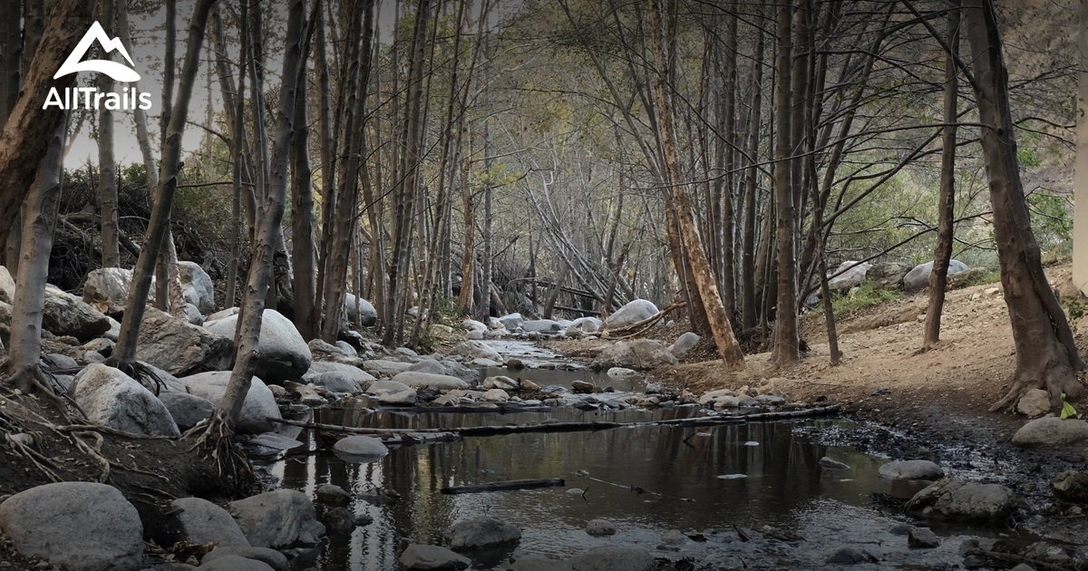 Best Trails near Pasadena, California | AllTrails