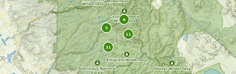 Best Trails near Pinecrest, California | AllTrails