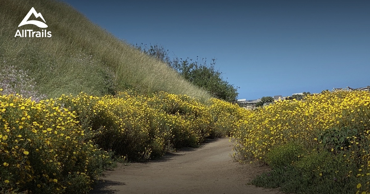 Best beach trails in Playa Del Rey | AllTrails