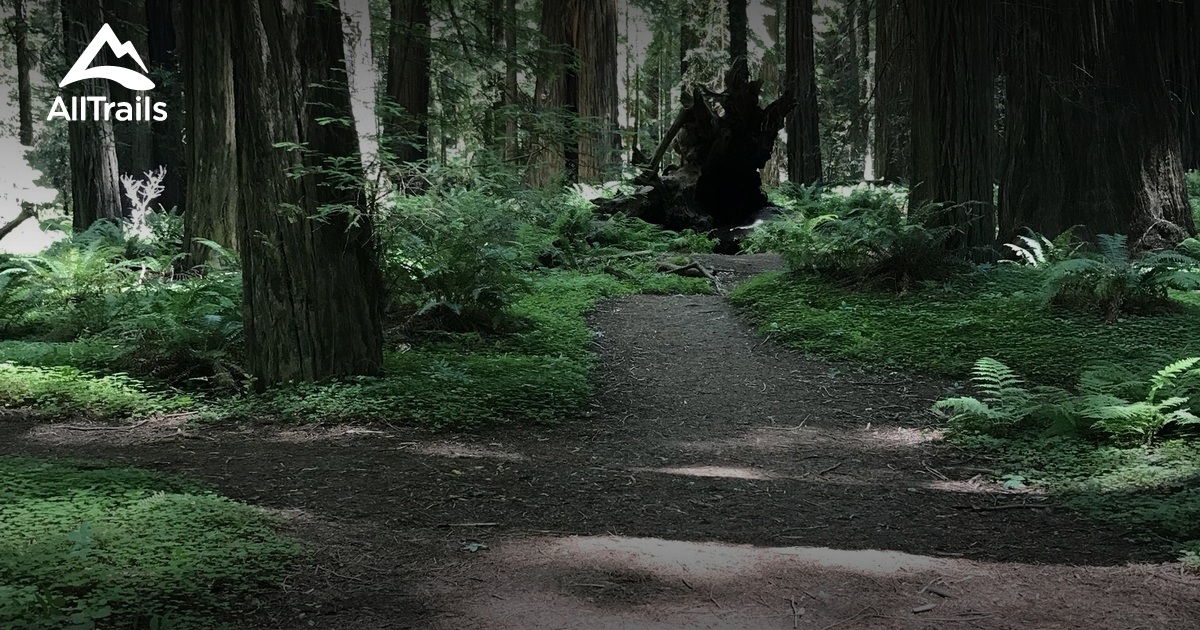 10 Best trails and hikes in Redcrest | AllTrails