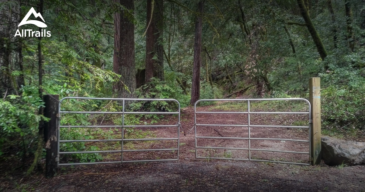 Best hikes and trails in Redwood Valley | AllTrails