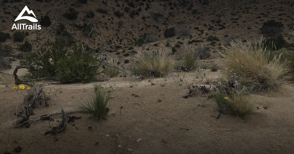 Best hikes and trails in Rosamond | AllTrails