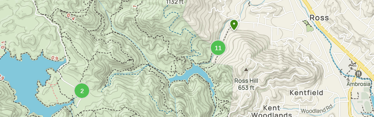 Best Hikes and Trails in Ross | AllTrails