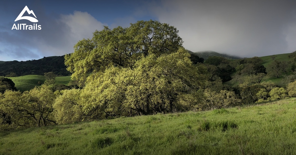 Best Trails near San Ramon, California | AllTrails