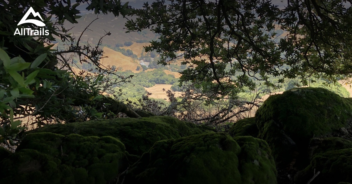 Best Trails near San Ramon, California | AllTrails