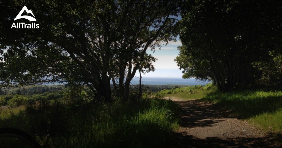 Best Trails near Santa Cruz, California | AllTrails