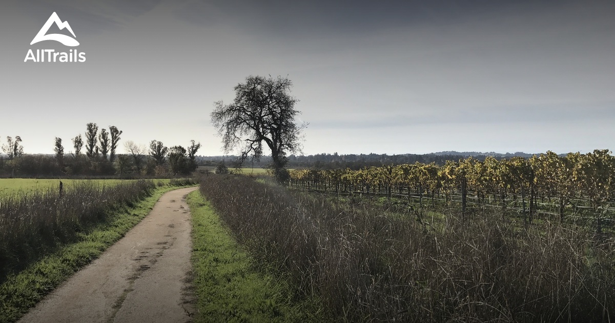 Best Trails near Sebastopol, California | AllTrails