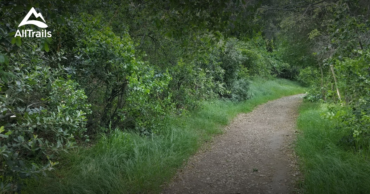 Best hikes and trails in South Pasadena | AllTrails