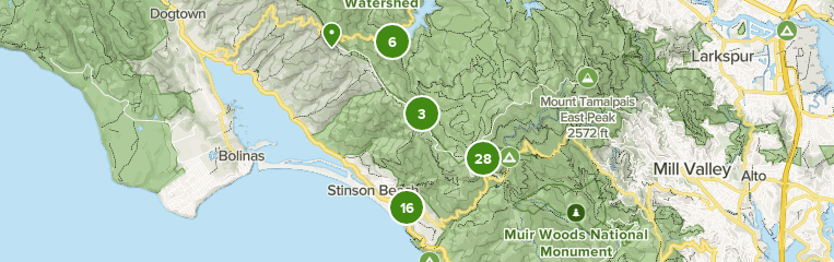 Best 10 Trails and Hikes in Stinson Beach | AllTrails