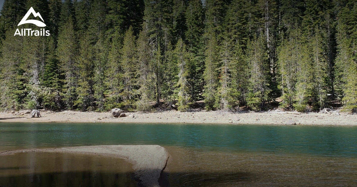 Best forest trails in Strawberry Valley | AllTrails