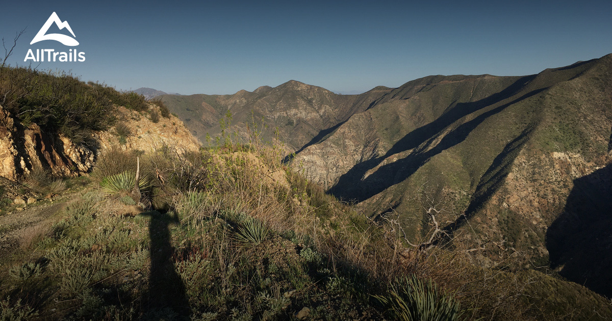 Best trails in Sunland, California | AllTrails