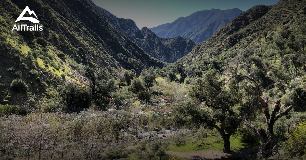 Best Trails near Sunland-Tujunga, California | AllTrails