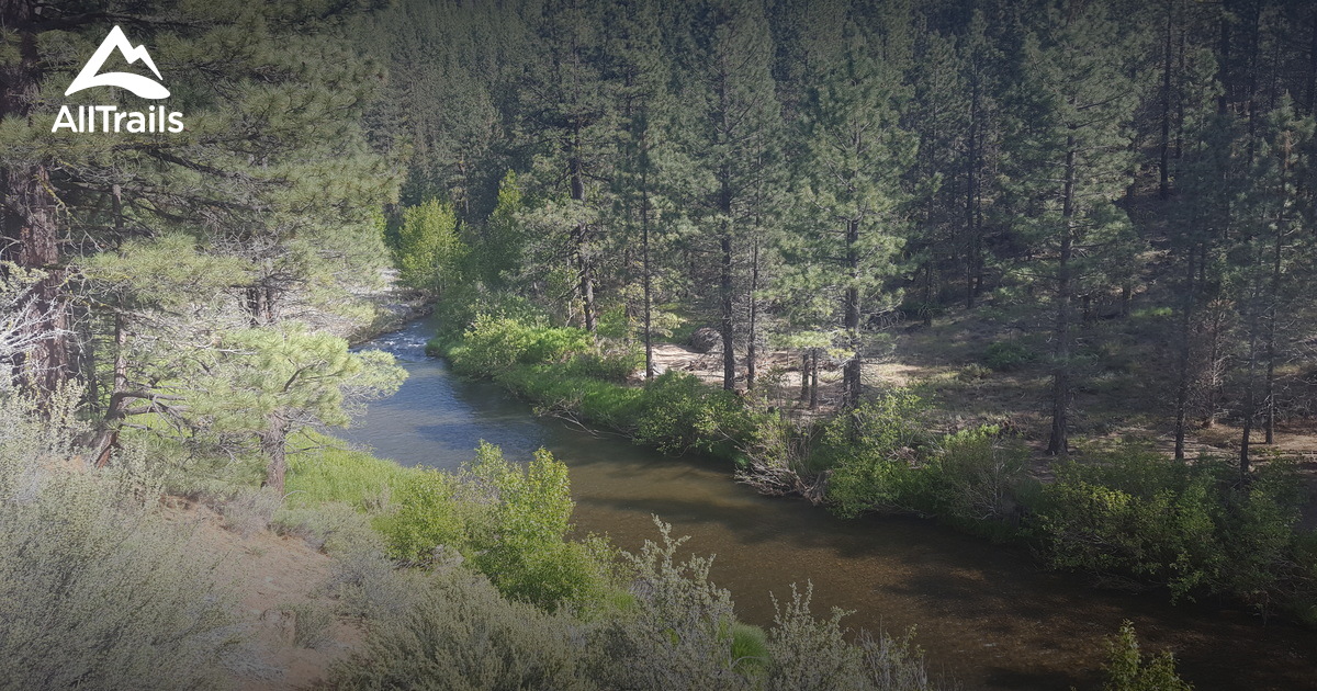 Best Trails near Susanville, California | AllTrails