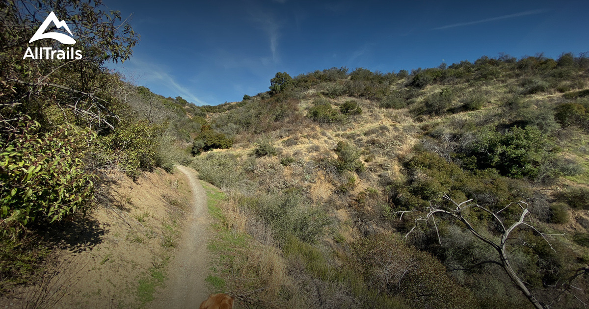 Best hikes and trails in Tarzana | AllTrails