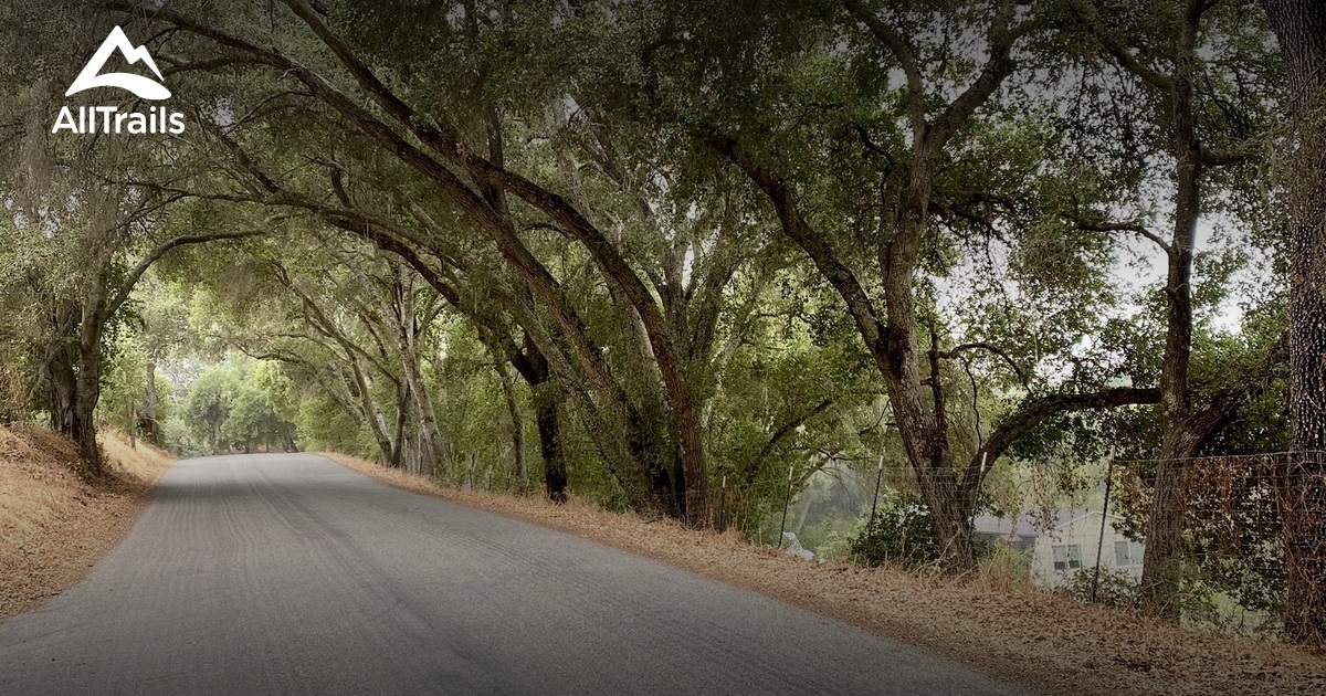 Best hikes and trails in Templeton | AllTrails